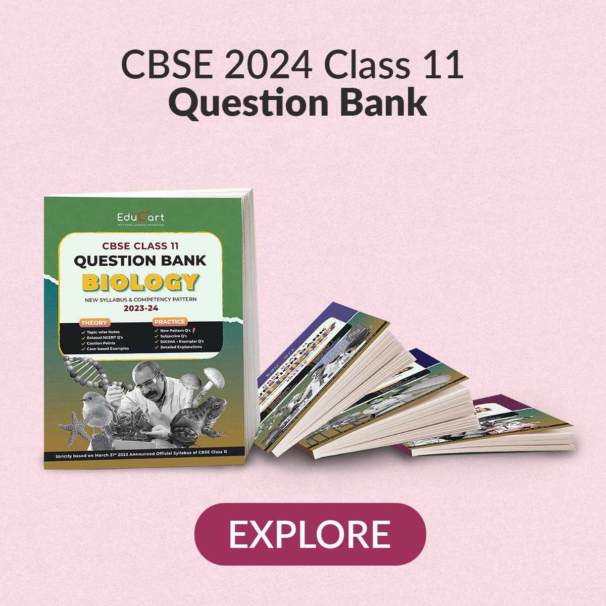 CBSE Class 11 Physics Complete Resources Free PDF Download